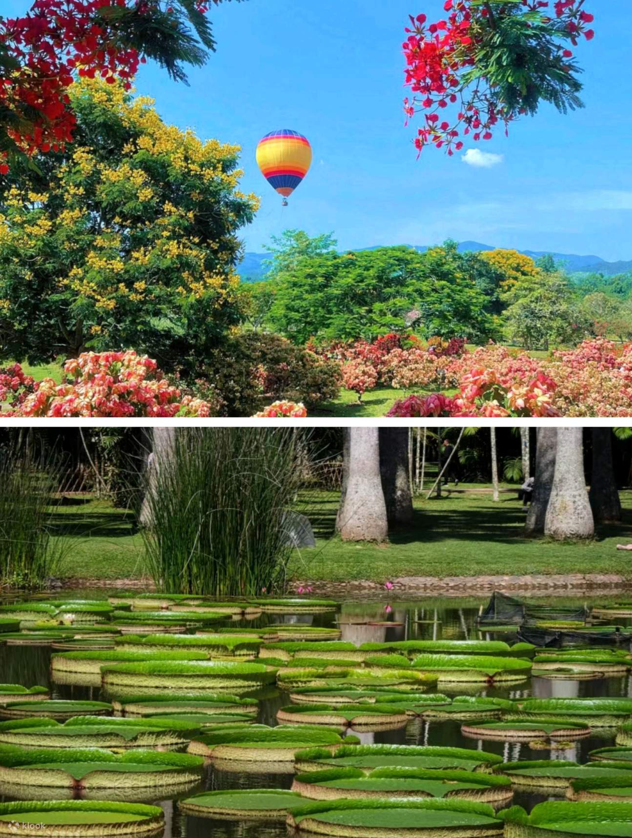 [Private Customized Tour] Yunnan·Senye Banna (stay at Anantara ...